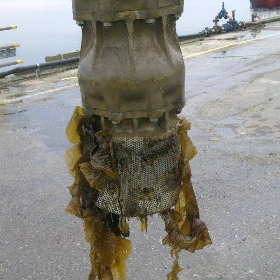 How do I unclog a pump intake?